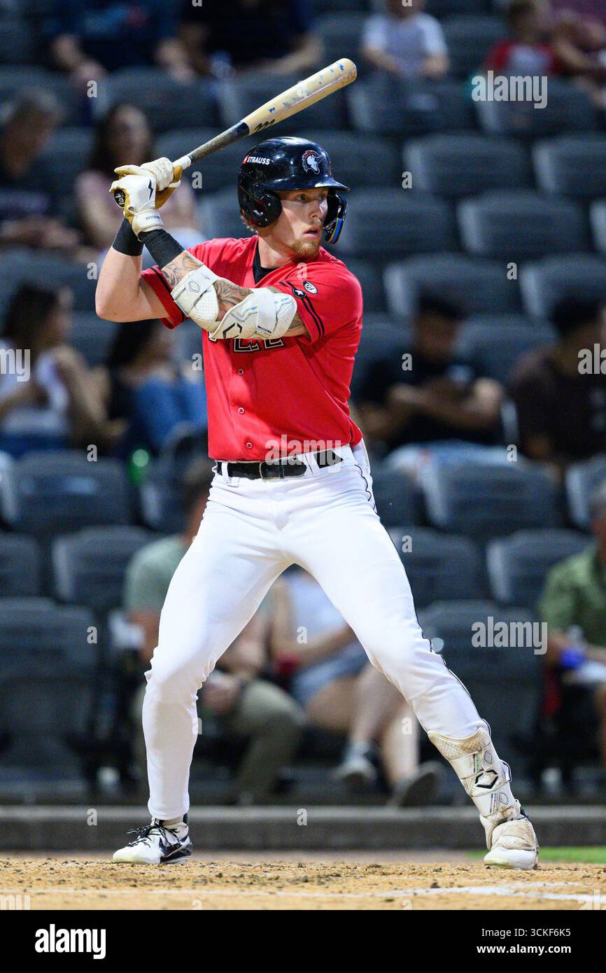 Ethan Frey (9) of the Fayetteville Woodpeckers at bat during a Carolina ...