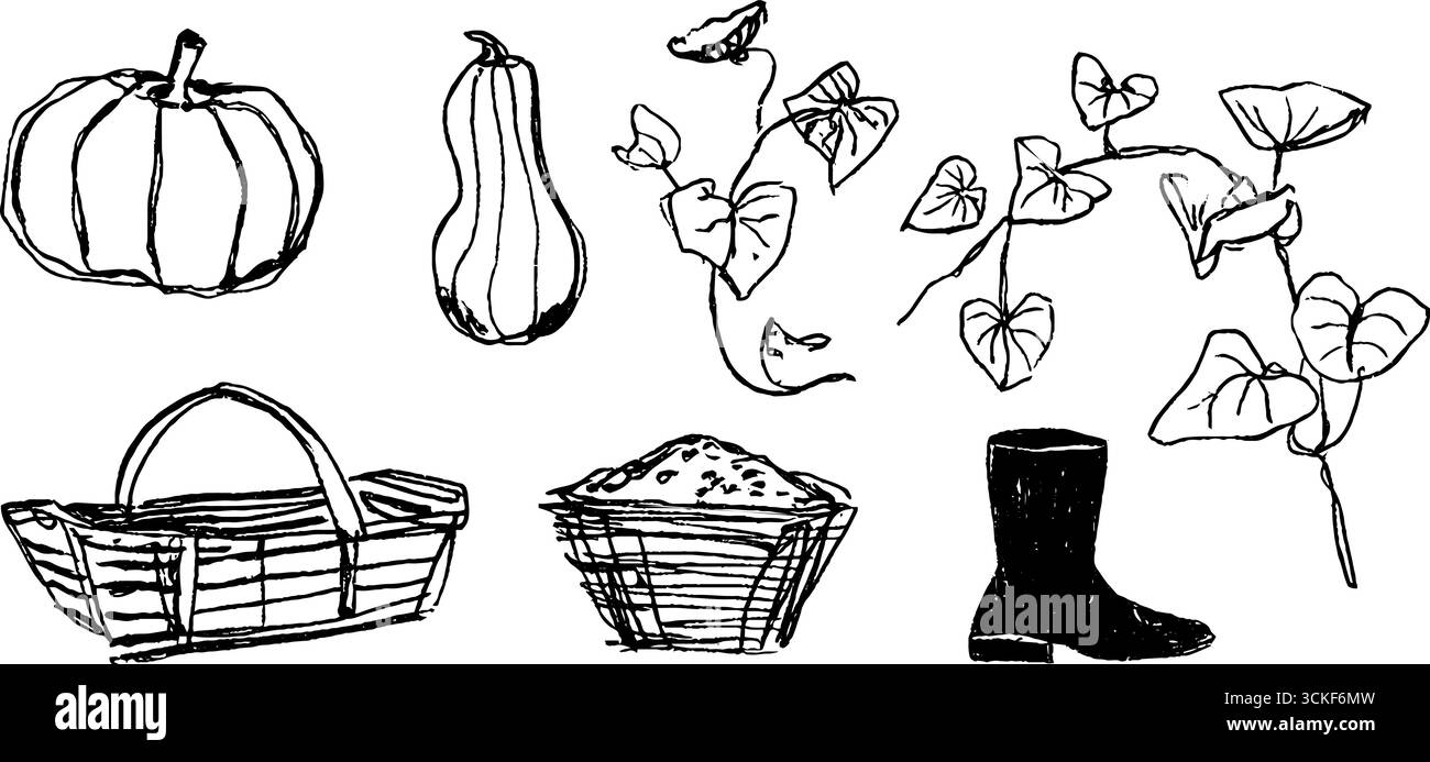 Black and white sketch illustration of pumpkins and harvest items ...