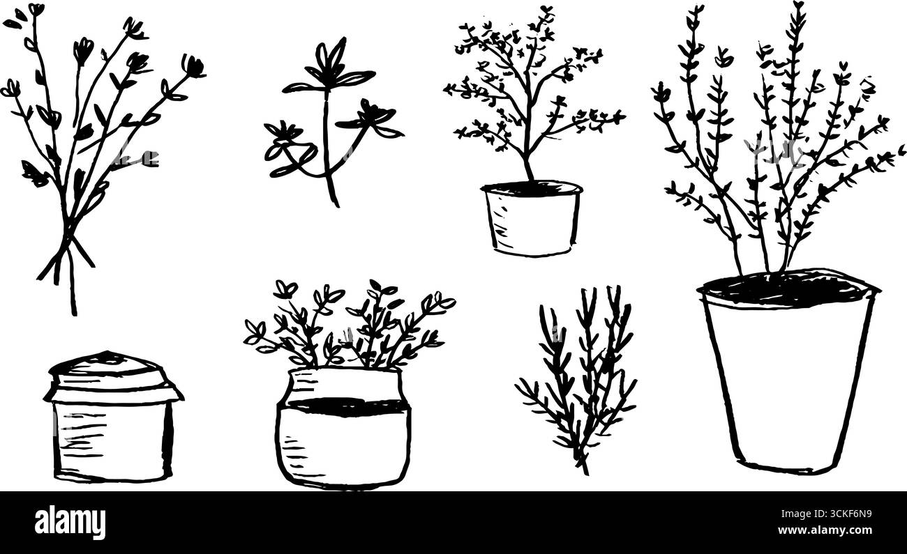 Minimal potted plant check Cut Out Stock Images & Pictures - Alamy