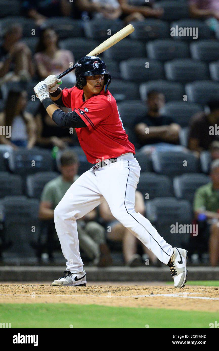 Arturo Flores (99) of the Fayetteville Woodpeckers at bat during a ...