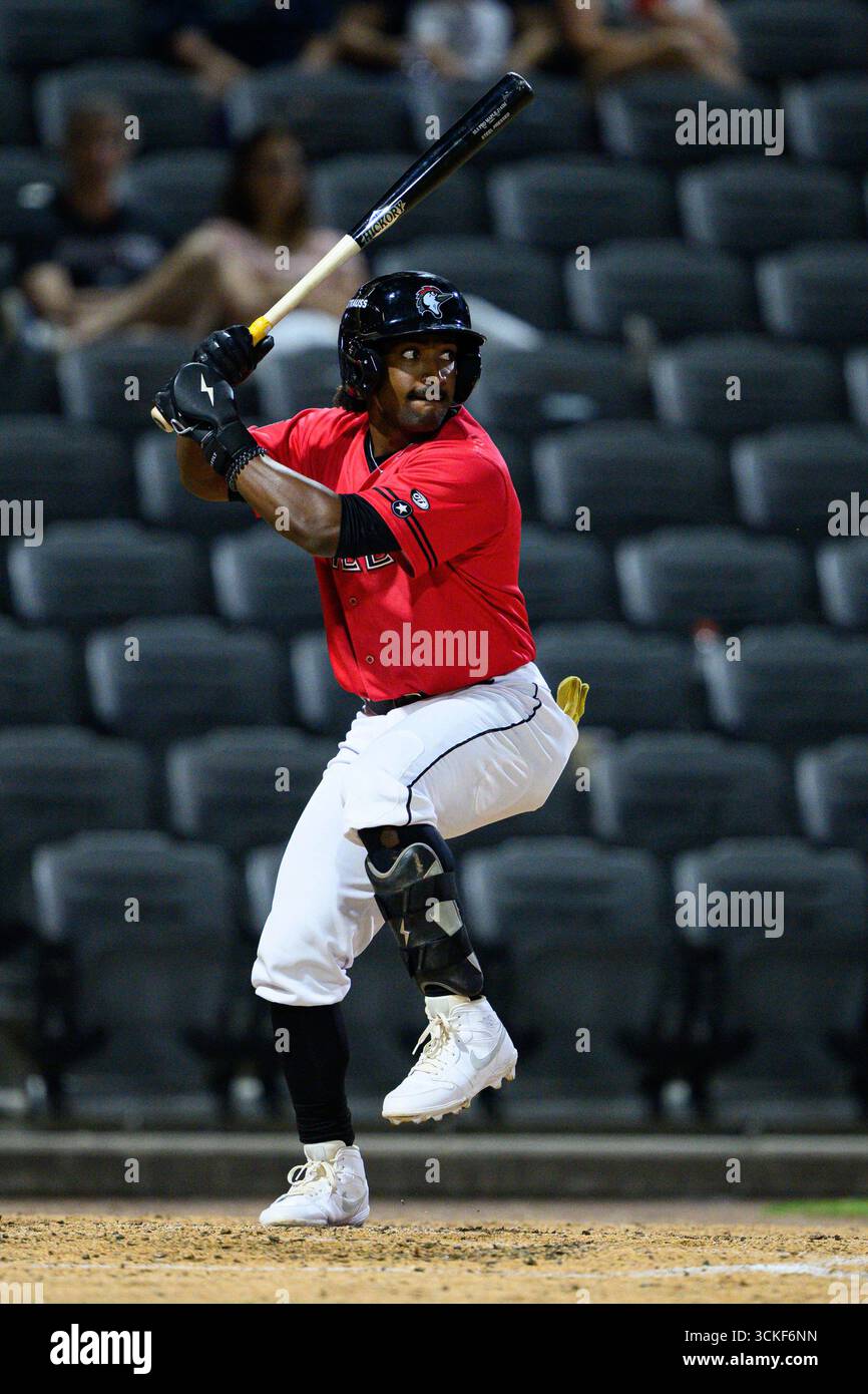 Kyle Walker (8) of the Fayetteville Woodpeckers at bat during a ...