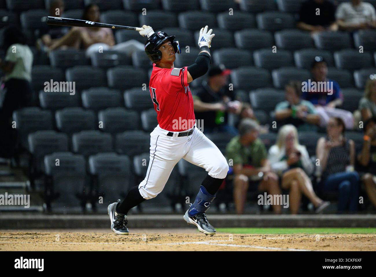 Chase Call (44) of the Fayetteville Woodpeckers at bat during a Carolina League baseball game ...
