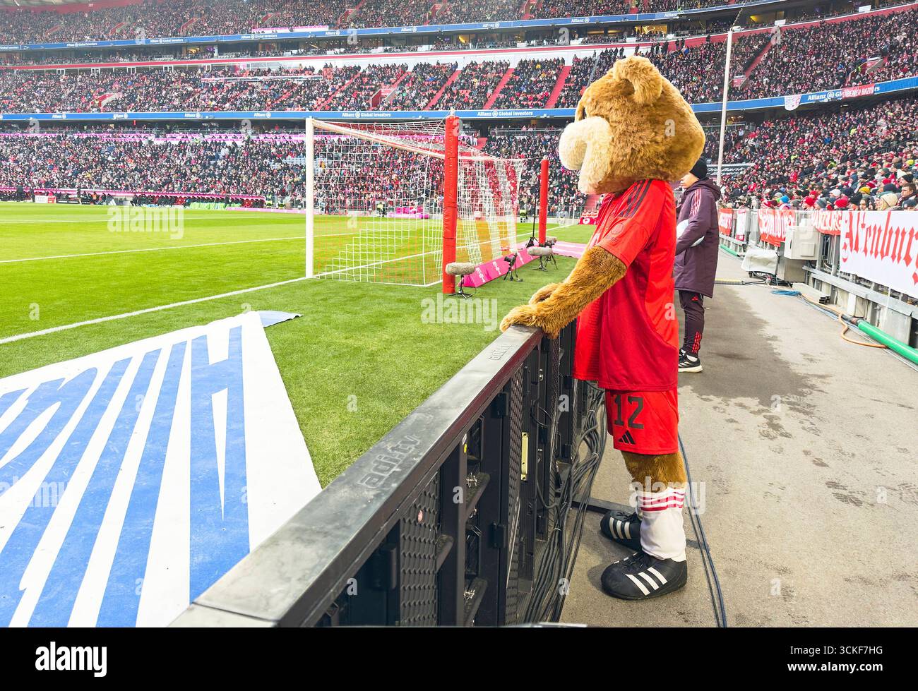 FCB mascot Bernie , Maskottchen, in the match FC BAYERN MUENCHEN - VFL ...