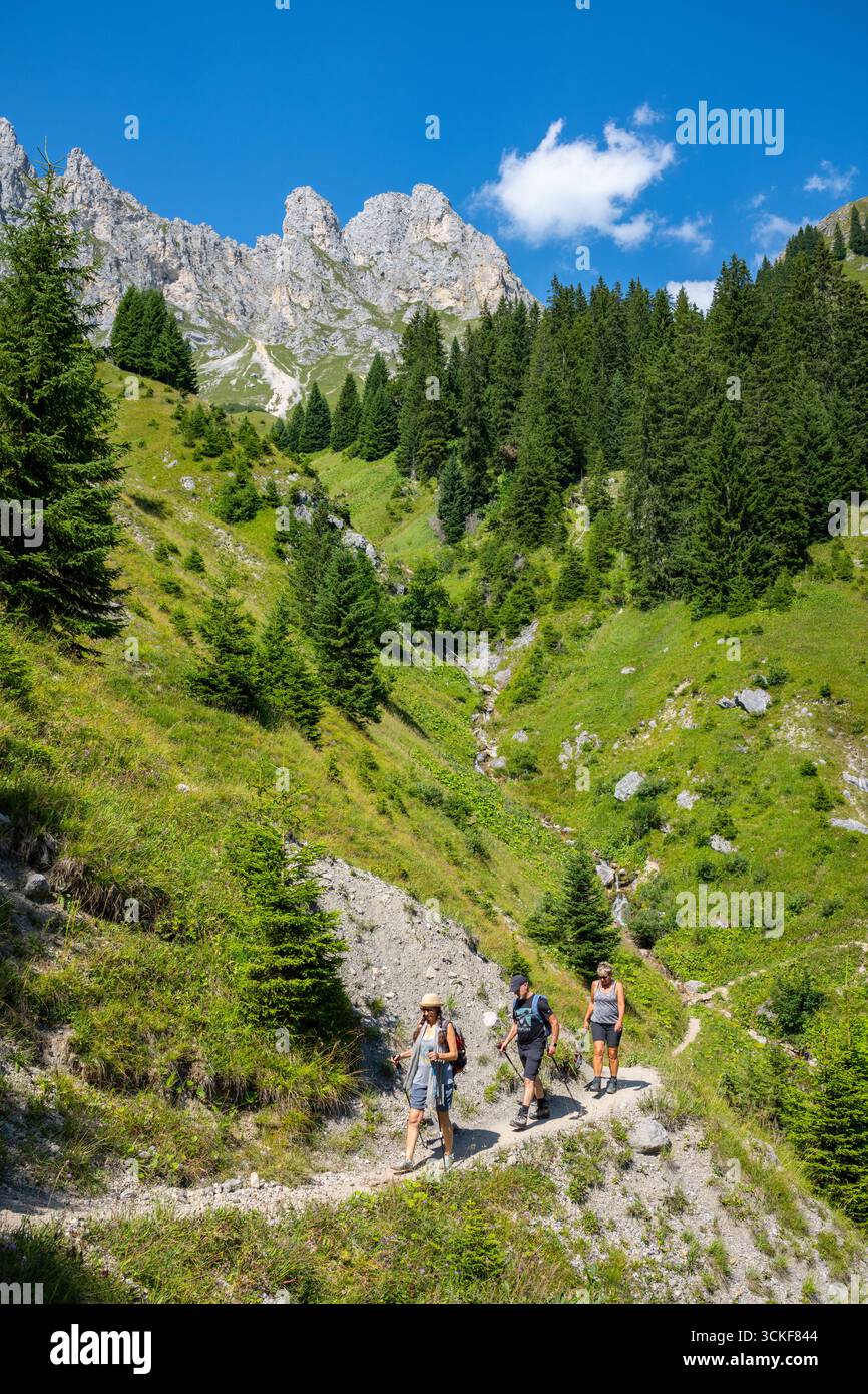 Hiker on the track up to Schneetalalm on Aug 9, 2025 in Haldensee , Tyrol, Austria Stock Photo ...