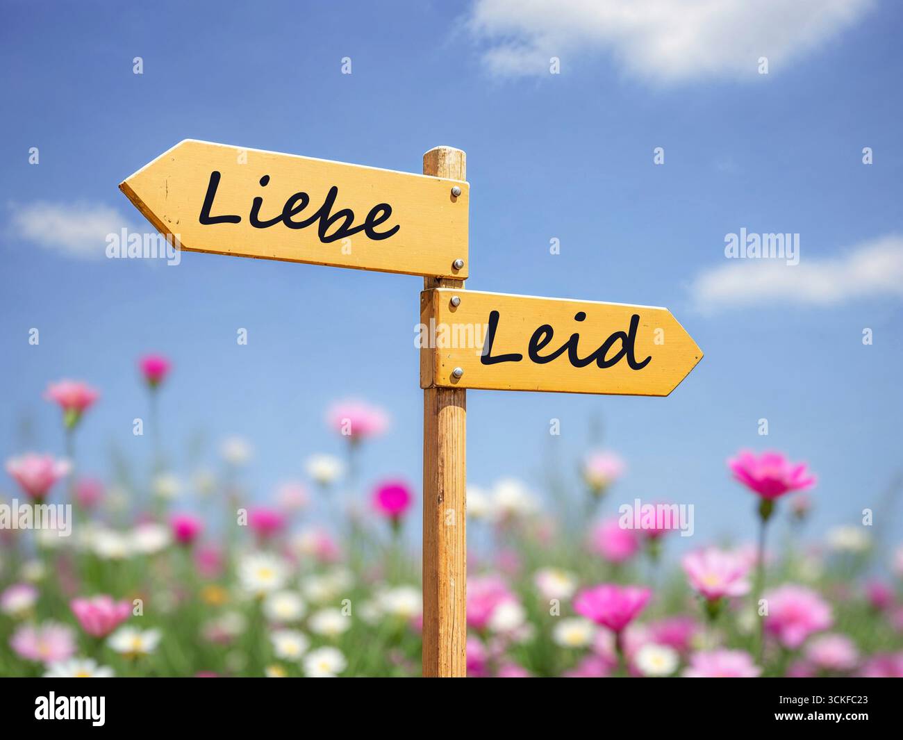 Opposite direction hi-res stock photography and images - Alamy