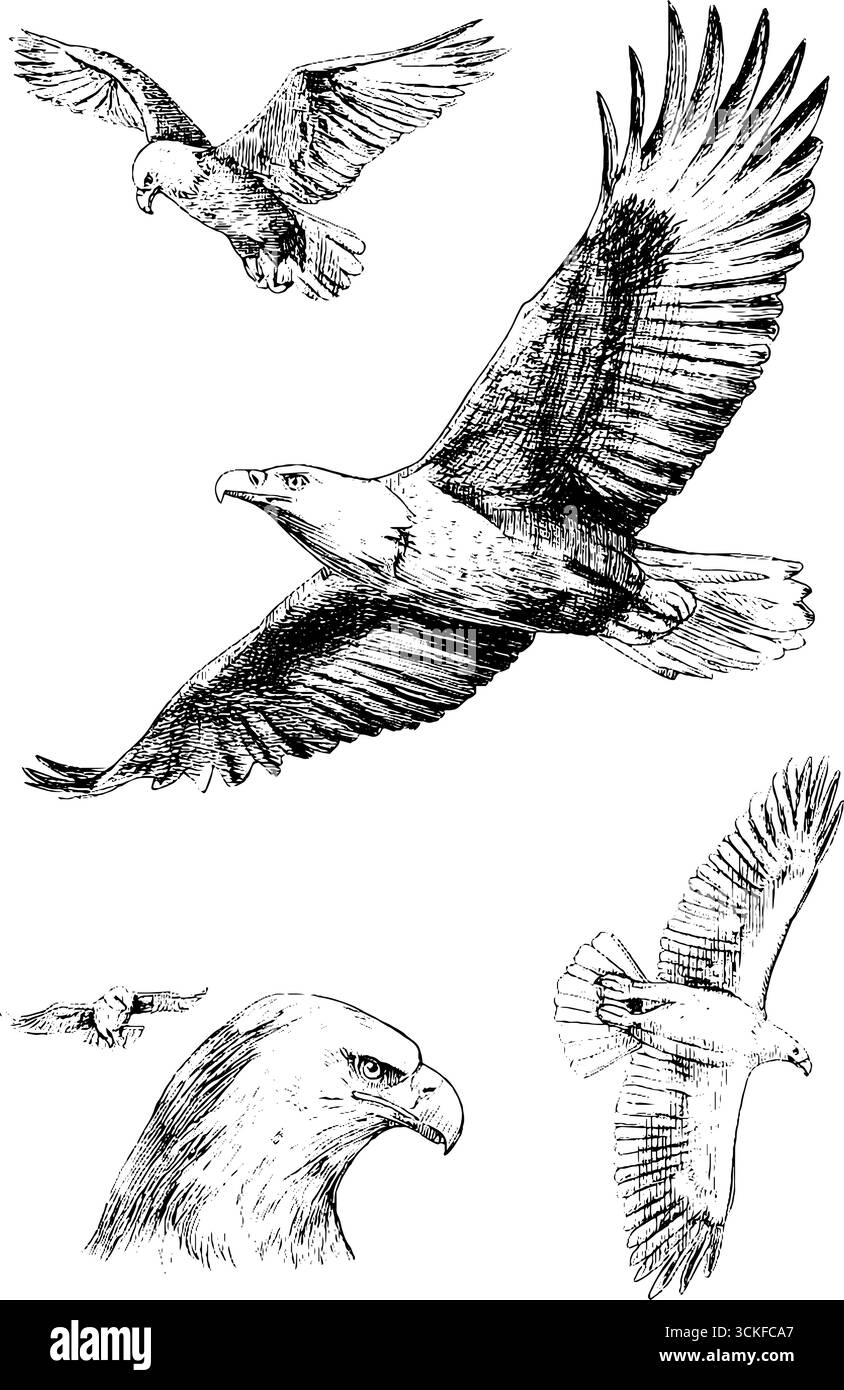 Eagles in art Cut Out Stock Images & Pictures - Alamy