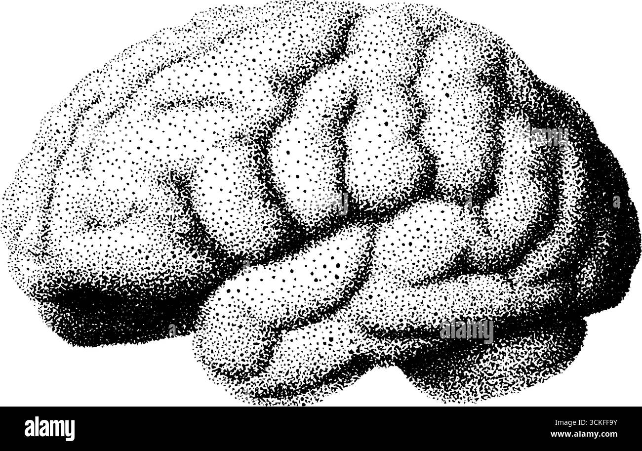 Organic brain pattern grayscale texture hi-res stock photography and ...