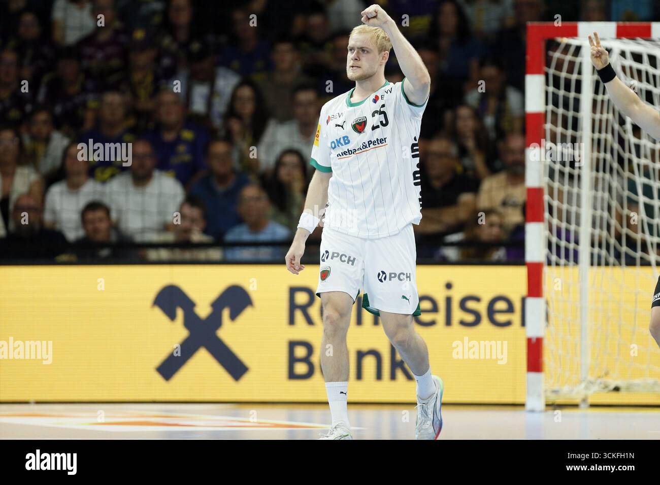 Füchse berlin champions league hi-res stock photography and images - Alamy