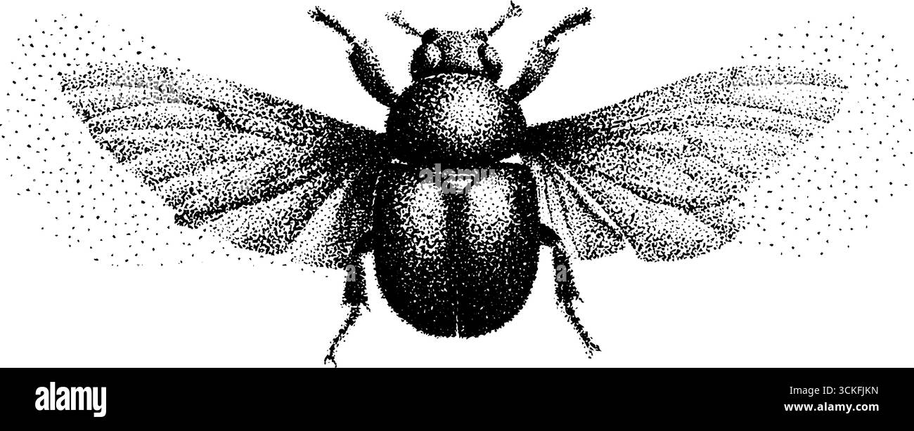 Detailed stippling dotwork beetle tattoo design with vintage effect ...