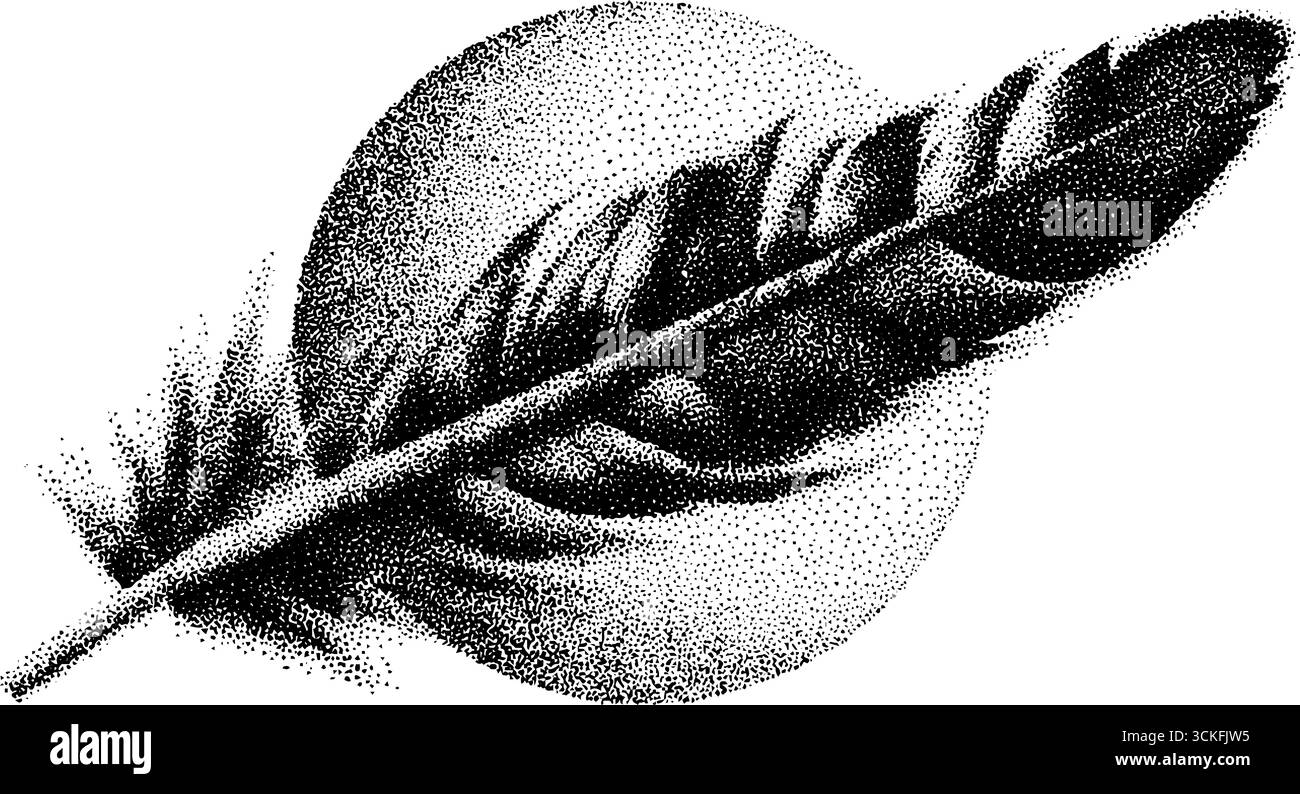Abstract stipple feather with halftone texture in black and white for ...
