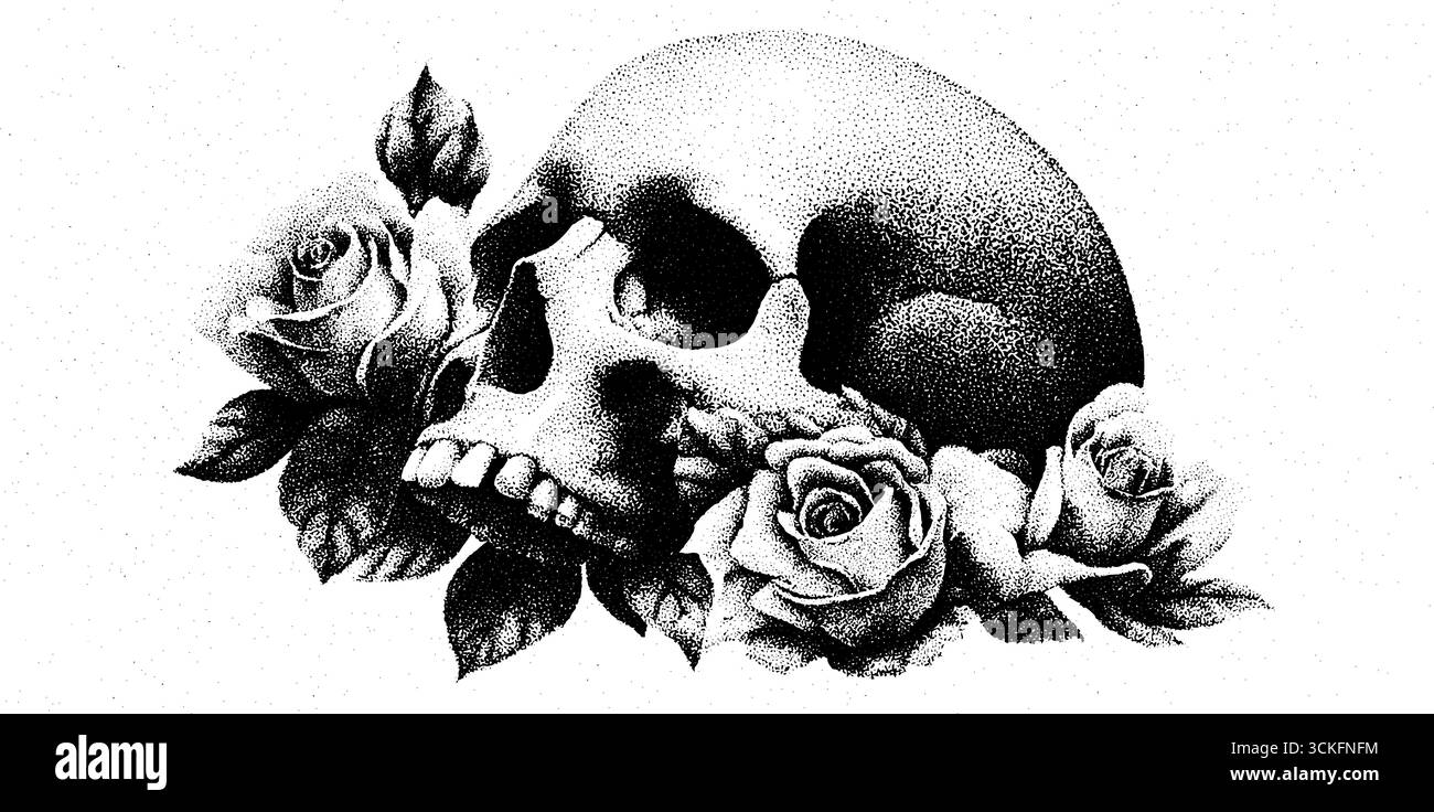 Stippling art of skull with roses - vintage tattoo design and dotwork ...
