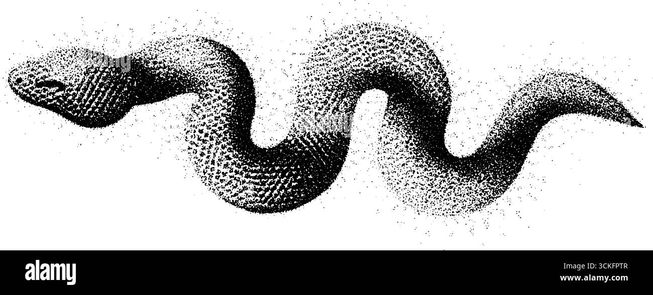 Scaled skin Stock Vector Images - Alamy