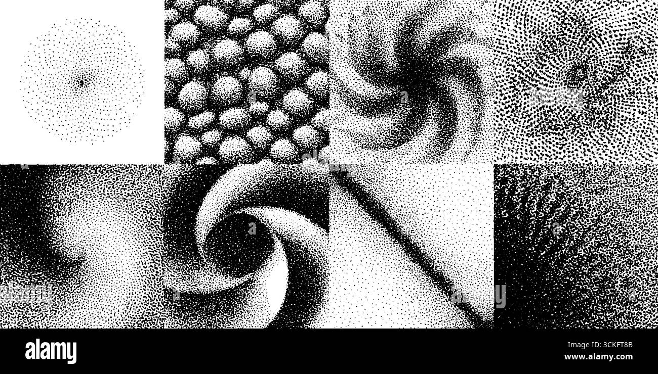 Intricate stippling and dotwork patterns featuring radiating designs ...
