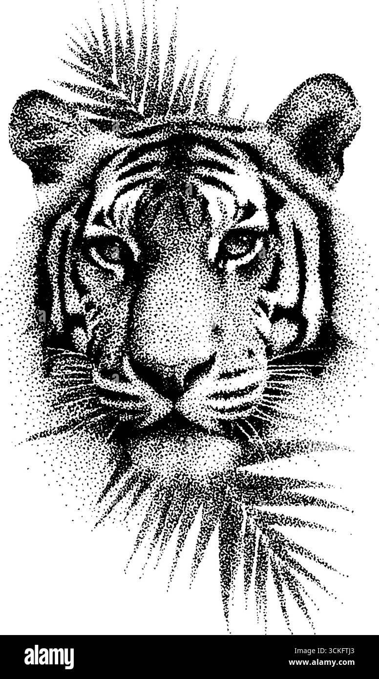 Tiger face tropical leaves Black and White Stock Photos & Images - Alamy