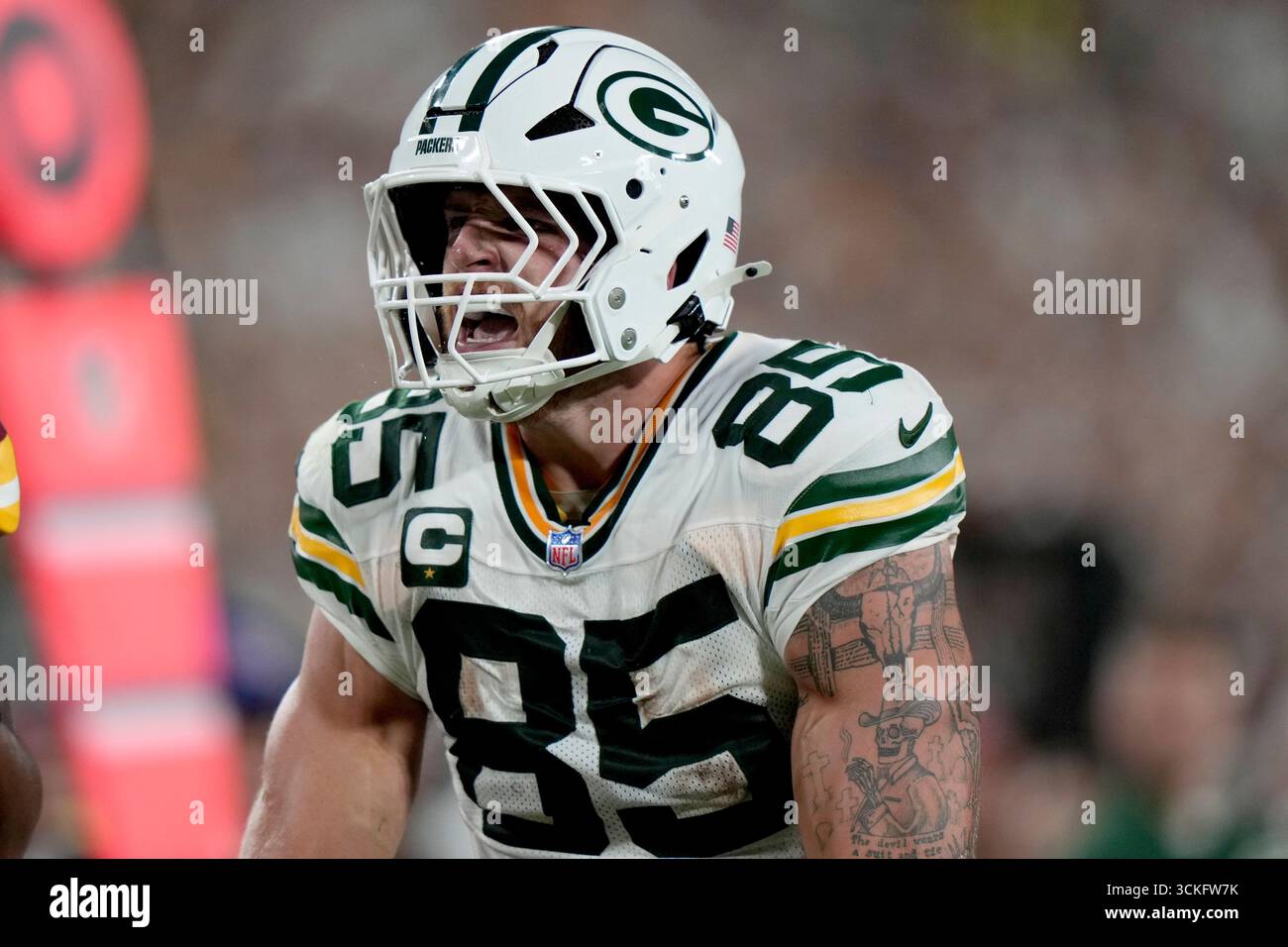 Green Bay Packers tight end Tucker Kraft celebrates a first down catch ...
