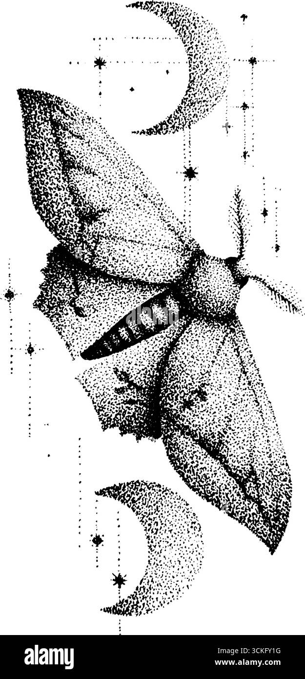 Moth smoky moth Stock Vector Images - Alamy