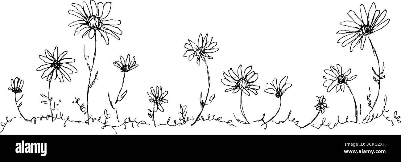 Hand drawn daisy chain border design for creative projects Stock Vector ...