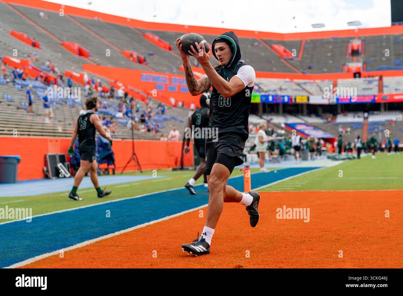GAINESVILLE, FL - SEPTEMBER 06: South Florida Bulls wide receiver ...