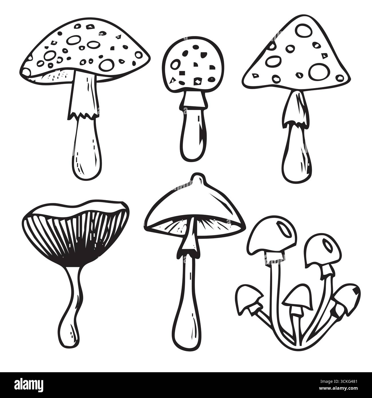 Amanita muscaria mushroom psychedelic Stock Vector Images - Alamy