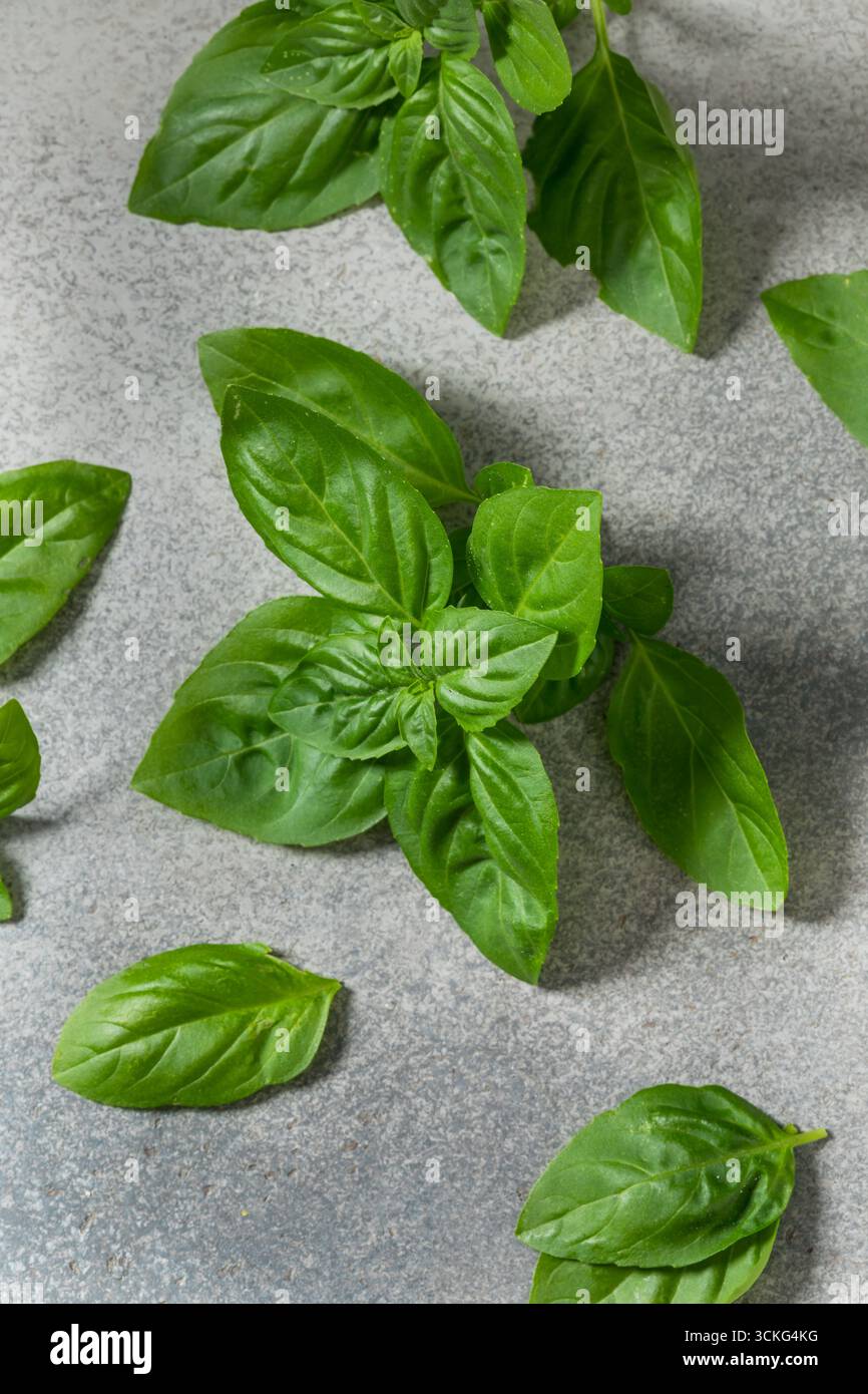 Organic Raw Green Basil Leaves Ready to Cook With Stock Photo - Alamy