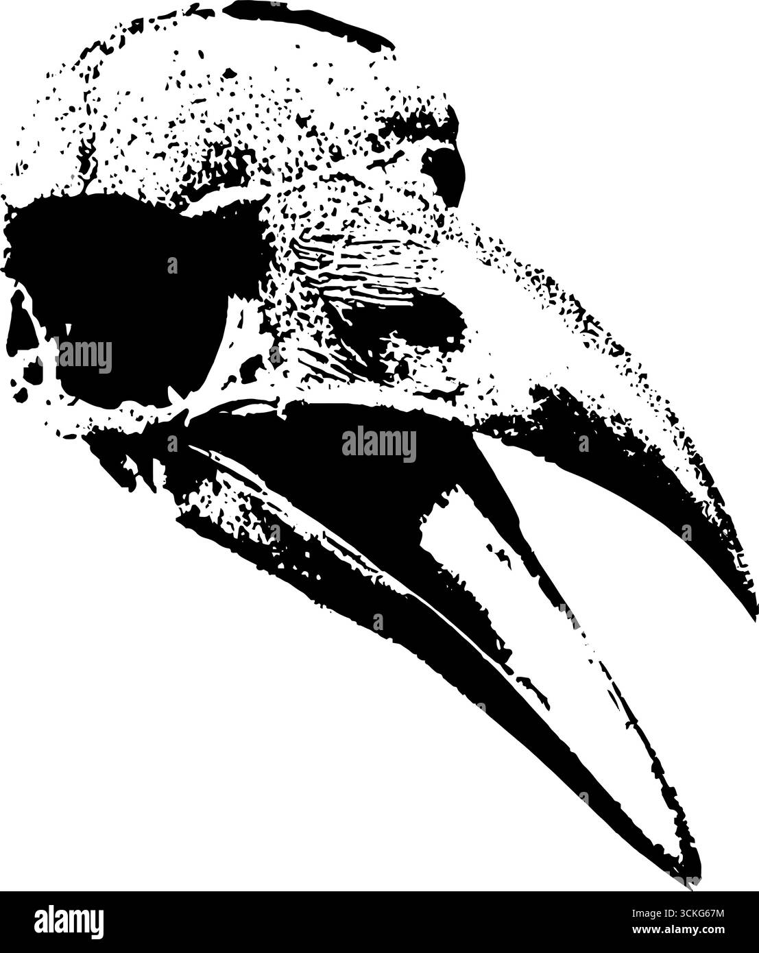 Grunge black and white crow illustration for urban design and decor ...