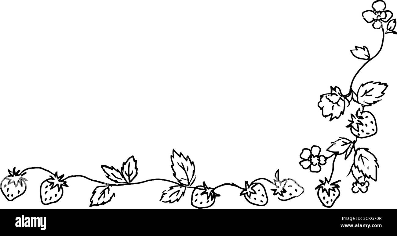 Hand drawn doodle strawberry vine corner design for creative projects ...