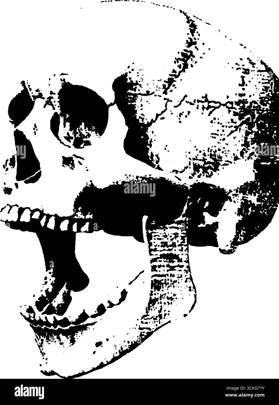 Grunge black and white scream skull illustration for urban print design ...