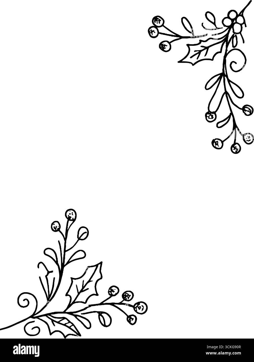 Festive doodle of holly sprig curl in corner design for holiday ...