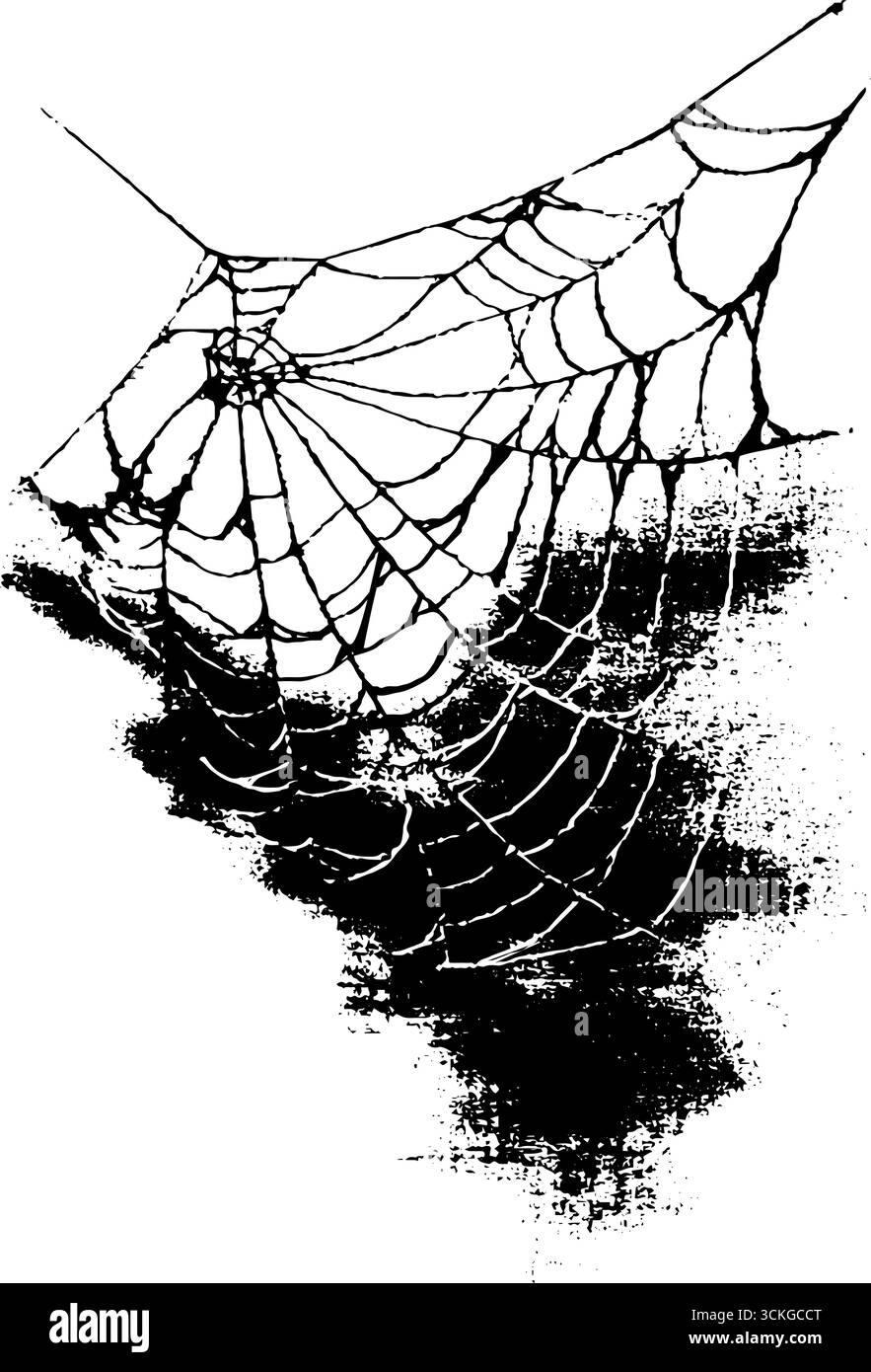 Grunge black and white cobweb illustration for halloween decor and ...