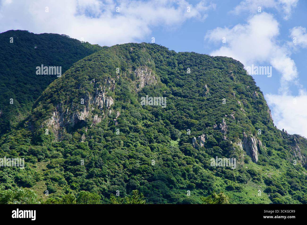 A steep forested mountain slope with rocky cliffs is seen near the Jeju ...