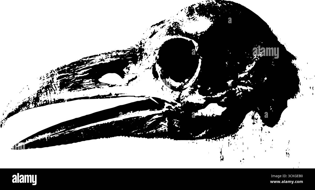 Grunge black and white illustration of frozen crow skull for urban art ...