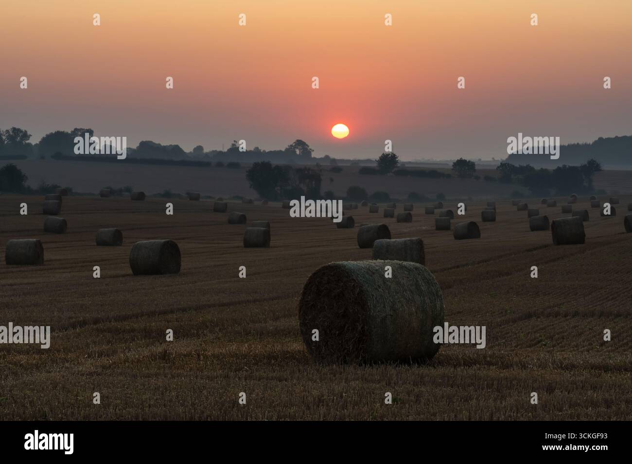 View across harvested farmland hi-res stock photography and images - Alamy