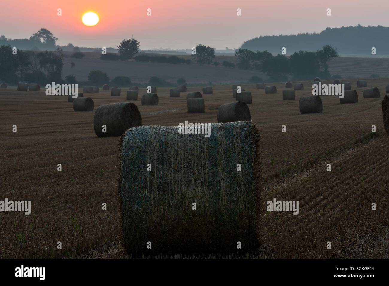 View across harvested farmland hi-res stock photography and images - Alamy