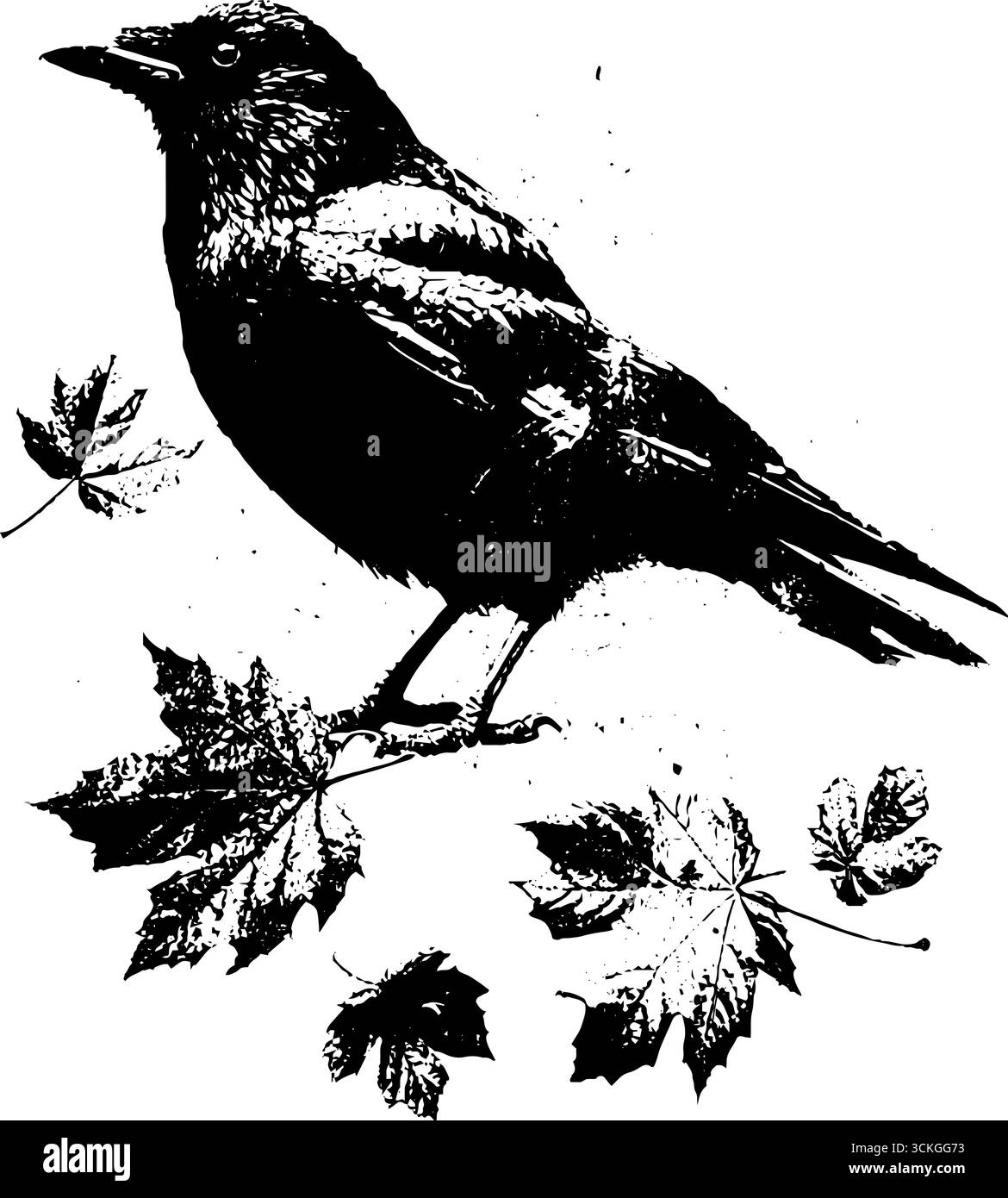 Grunge black and white crow illustration with autumn leaves for urban ...