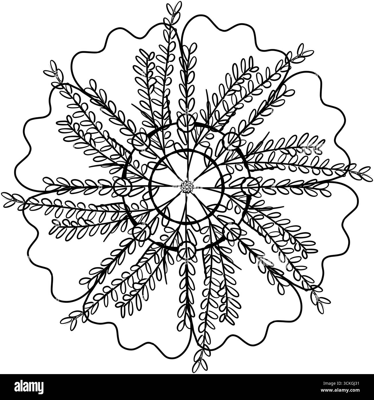 Valentine roses flowers on Black and White Stock Photos & Images - Alamy