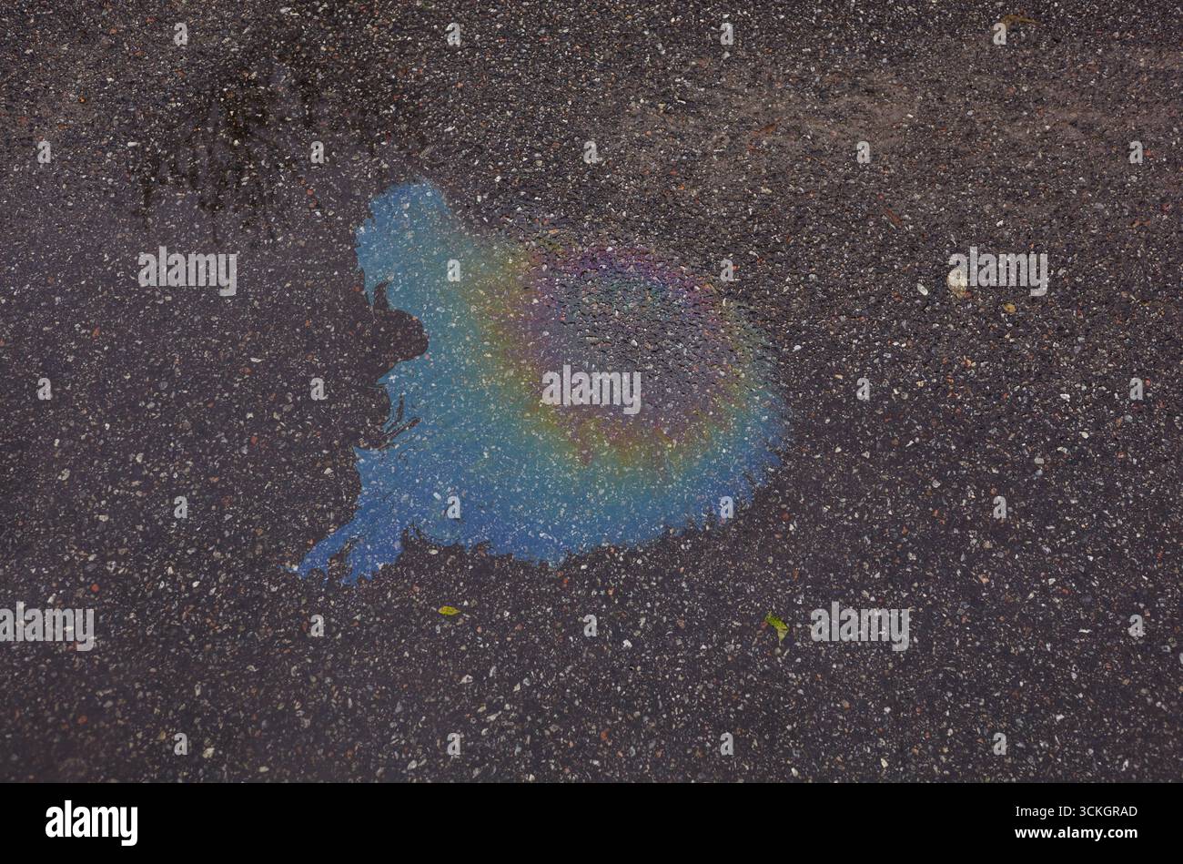 Color gasoline fuel spot on asphalt. Environmental pollution in the ...
