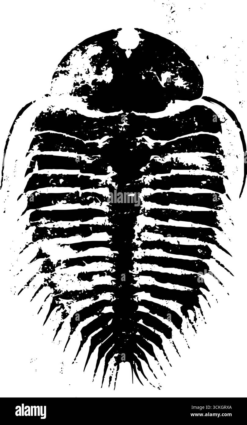Vintage paleoart Stock Vector Images - Alamy