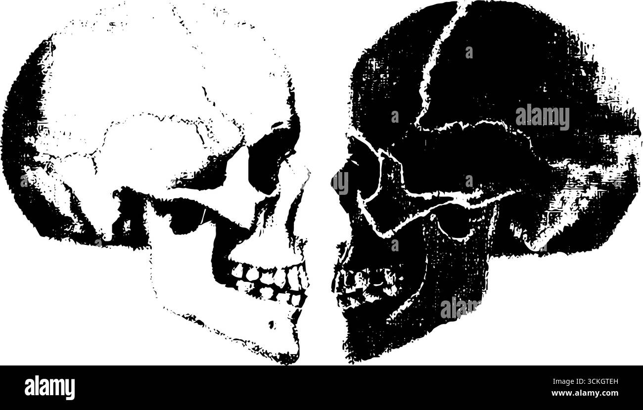Grungy black and white zombie skull illustration for halloween design ...