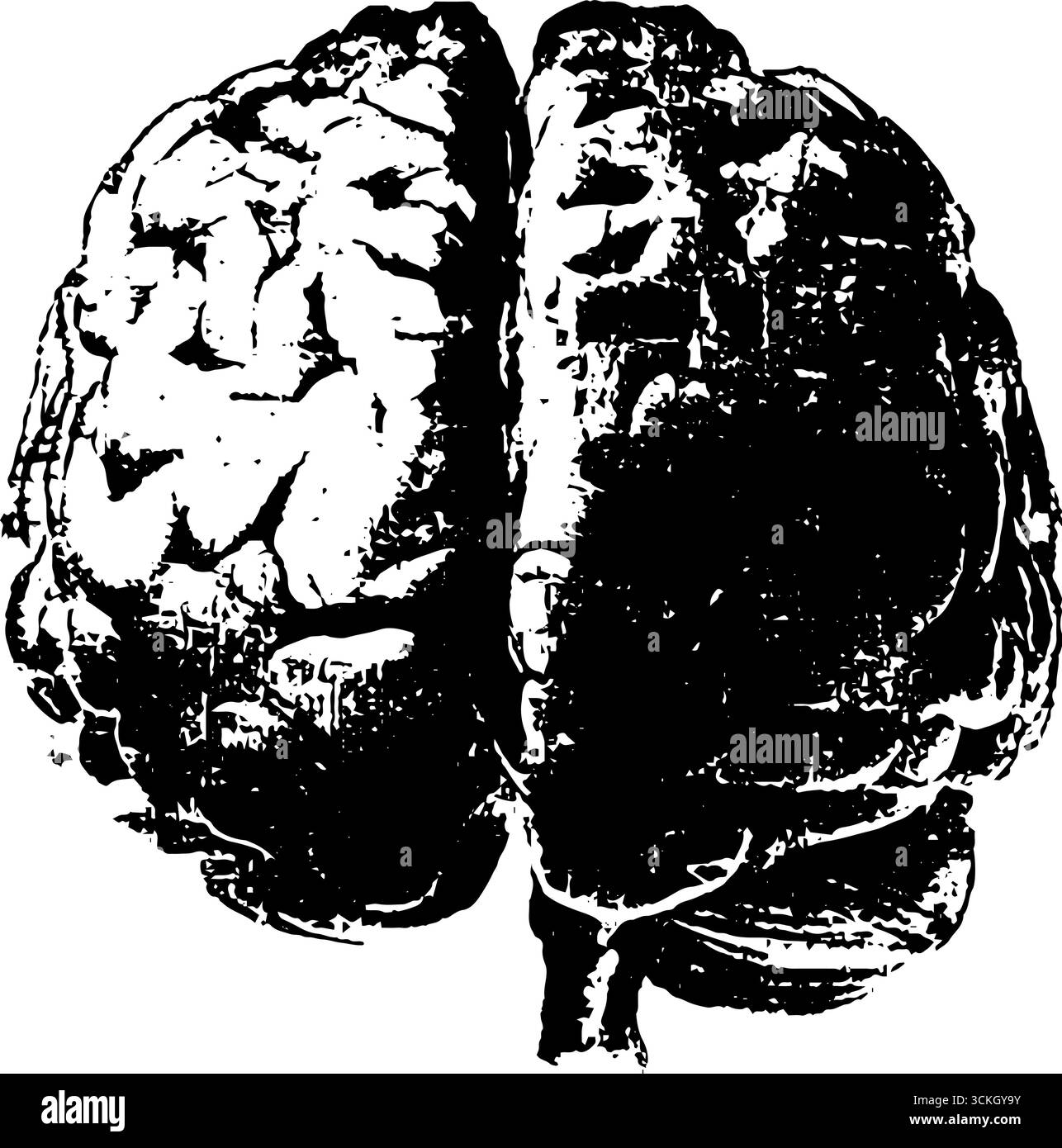 Grunge black and white x-ray style brain illustration for urban design ...