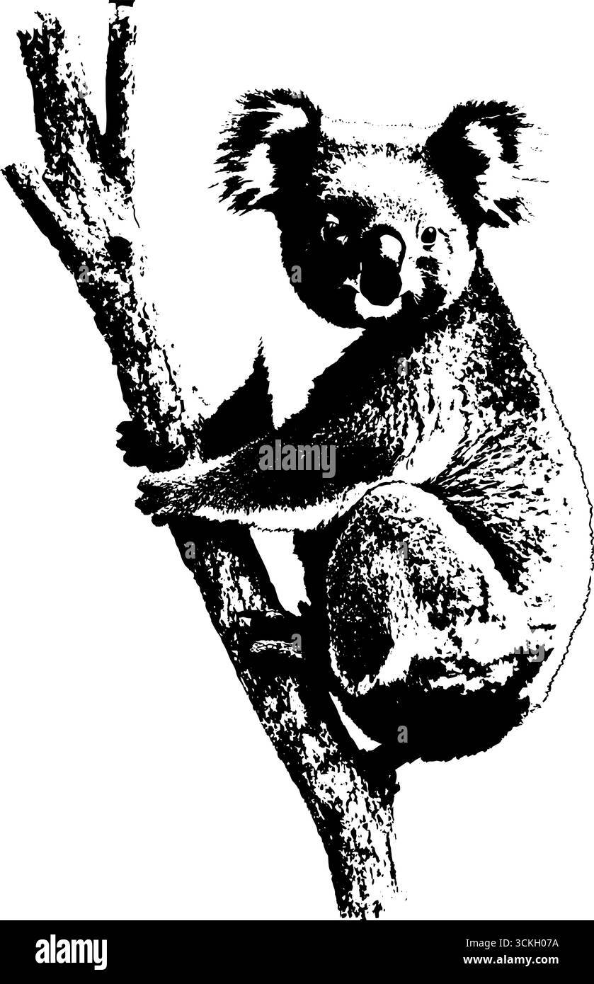 High contrast koala stencil design for urban art and decor Stock Vector ...