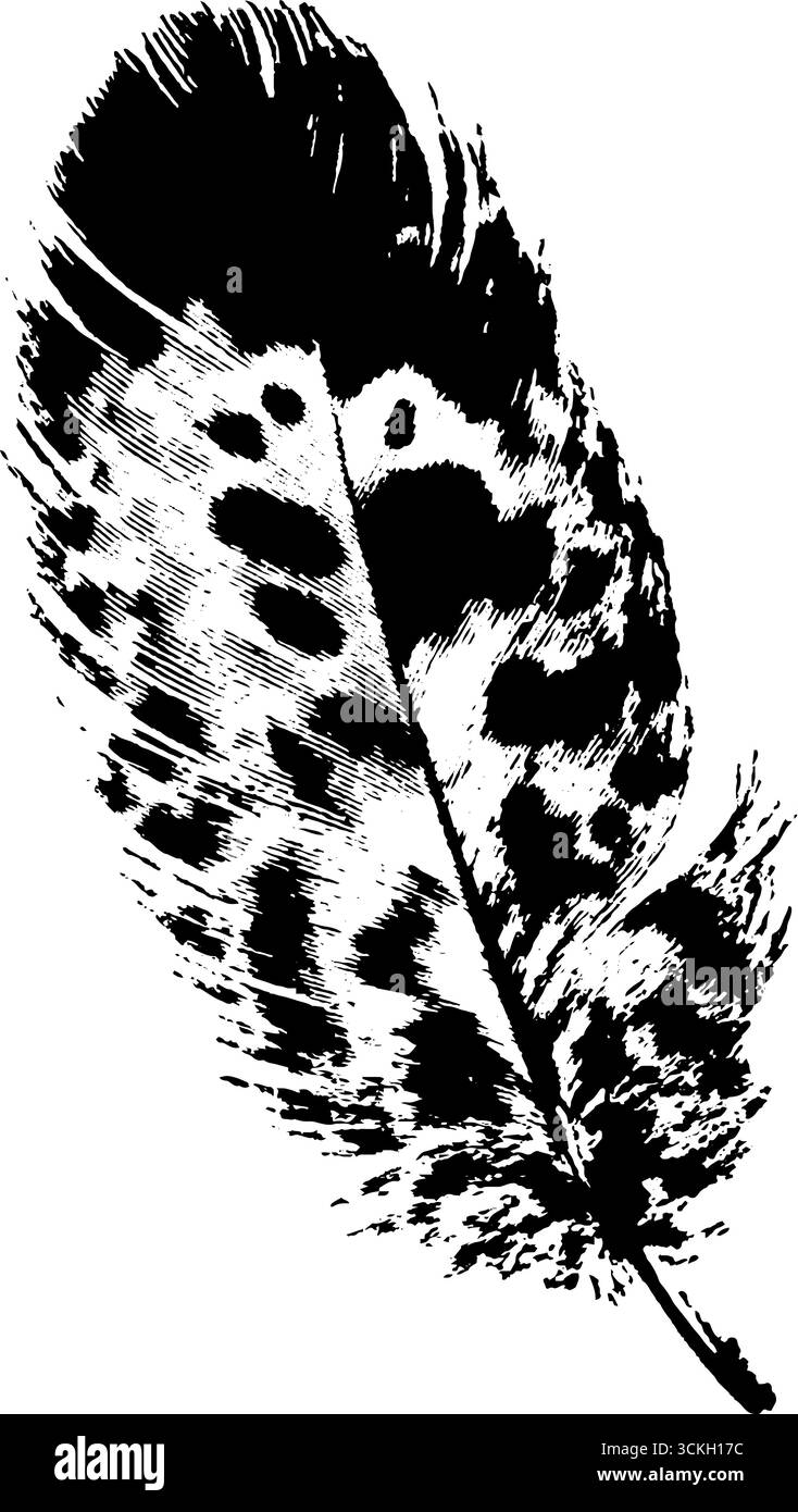 High contrast feather stencil art for urban design projects Stock ...