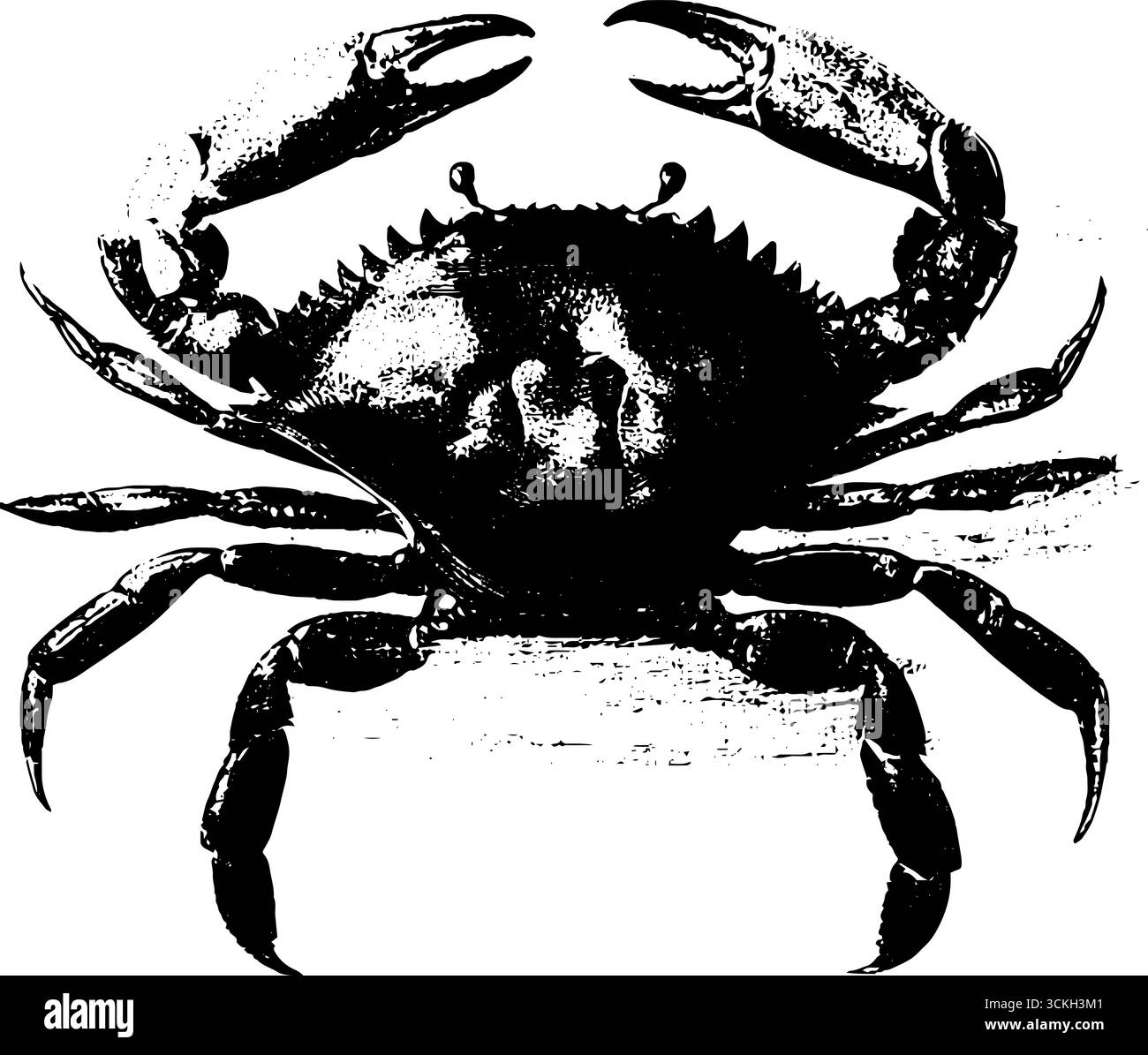 Grunge black and white x-ray style illustration of a crab - abstract ...