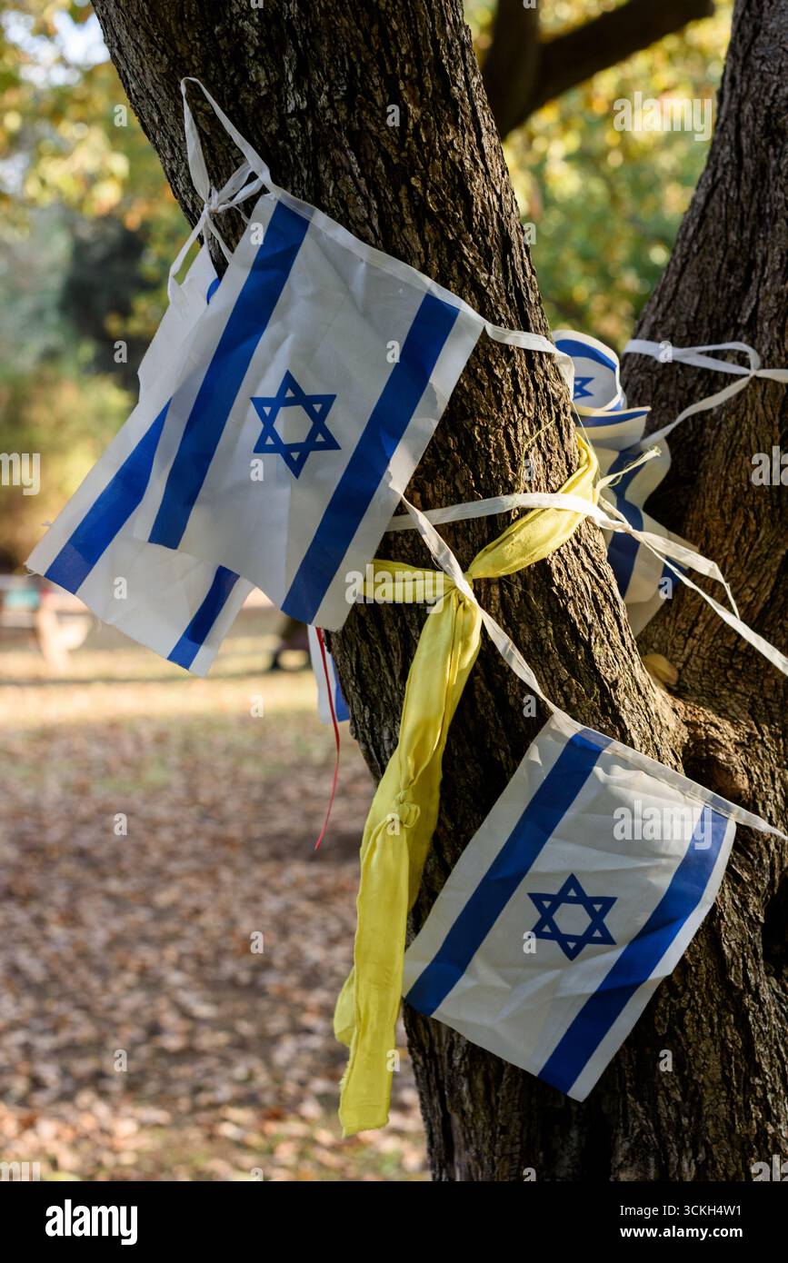 Israeli flags and yellow ribbons tied to a tree in Jerusalem as a ...