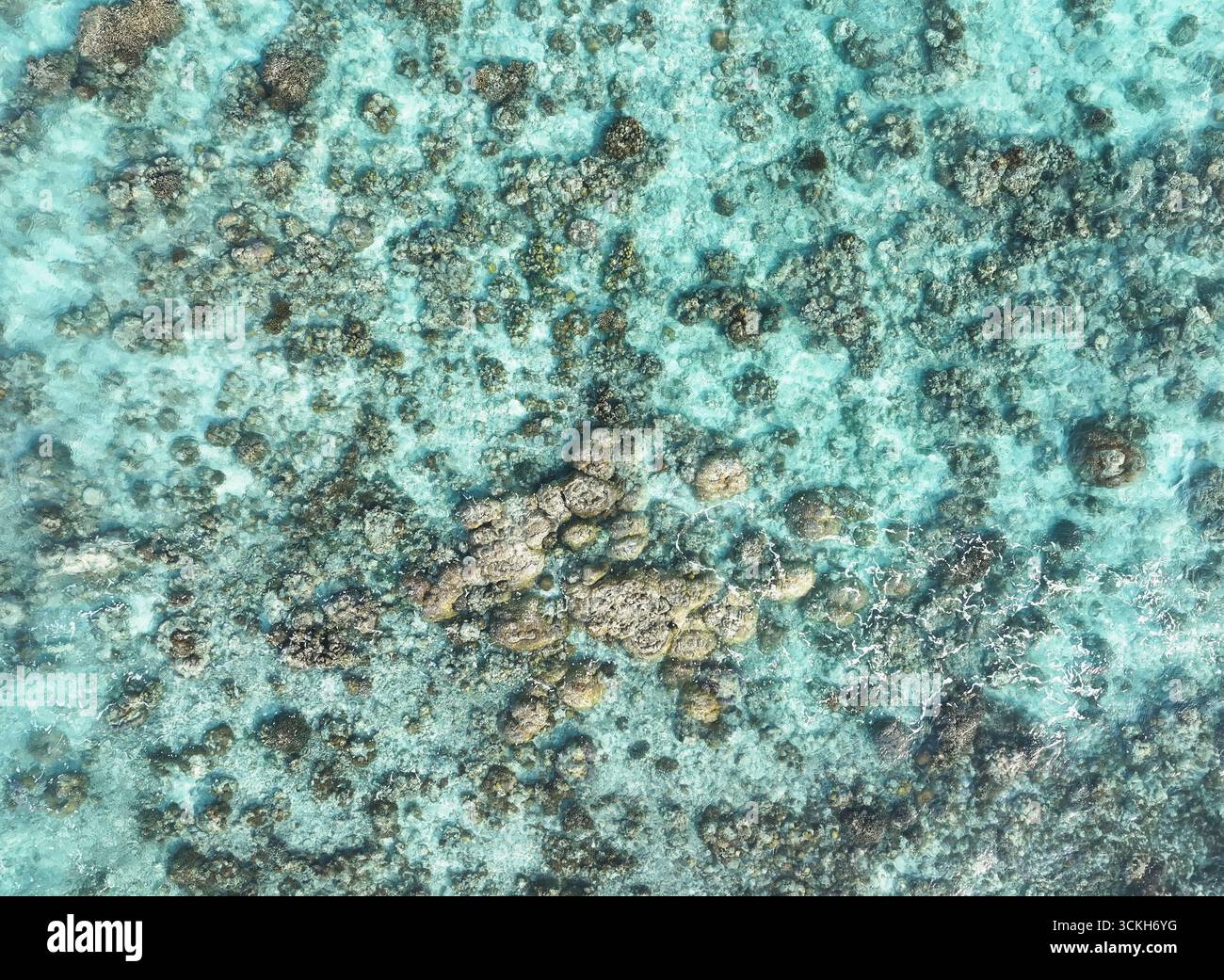 Aerial view of turquoise waters embracing coral formations and sandy ...