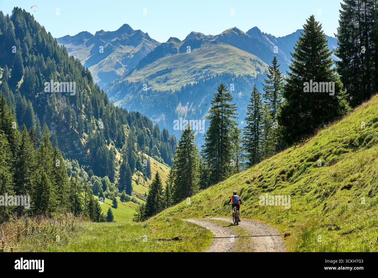 woman riding her electric mountain bike in the Bregenz Forest Mountains ...