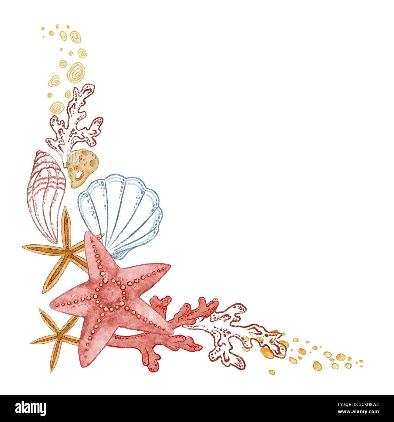 seashell corner border