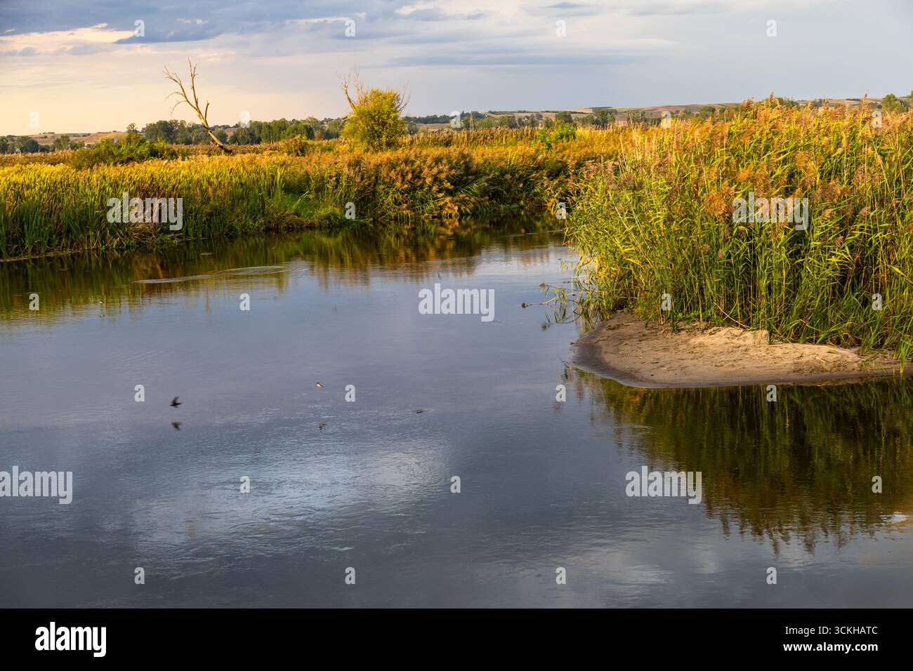 The Nida Valley. The meanders of the Nida River during the golden hour ...