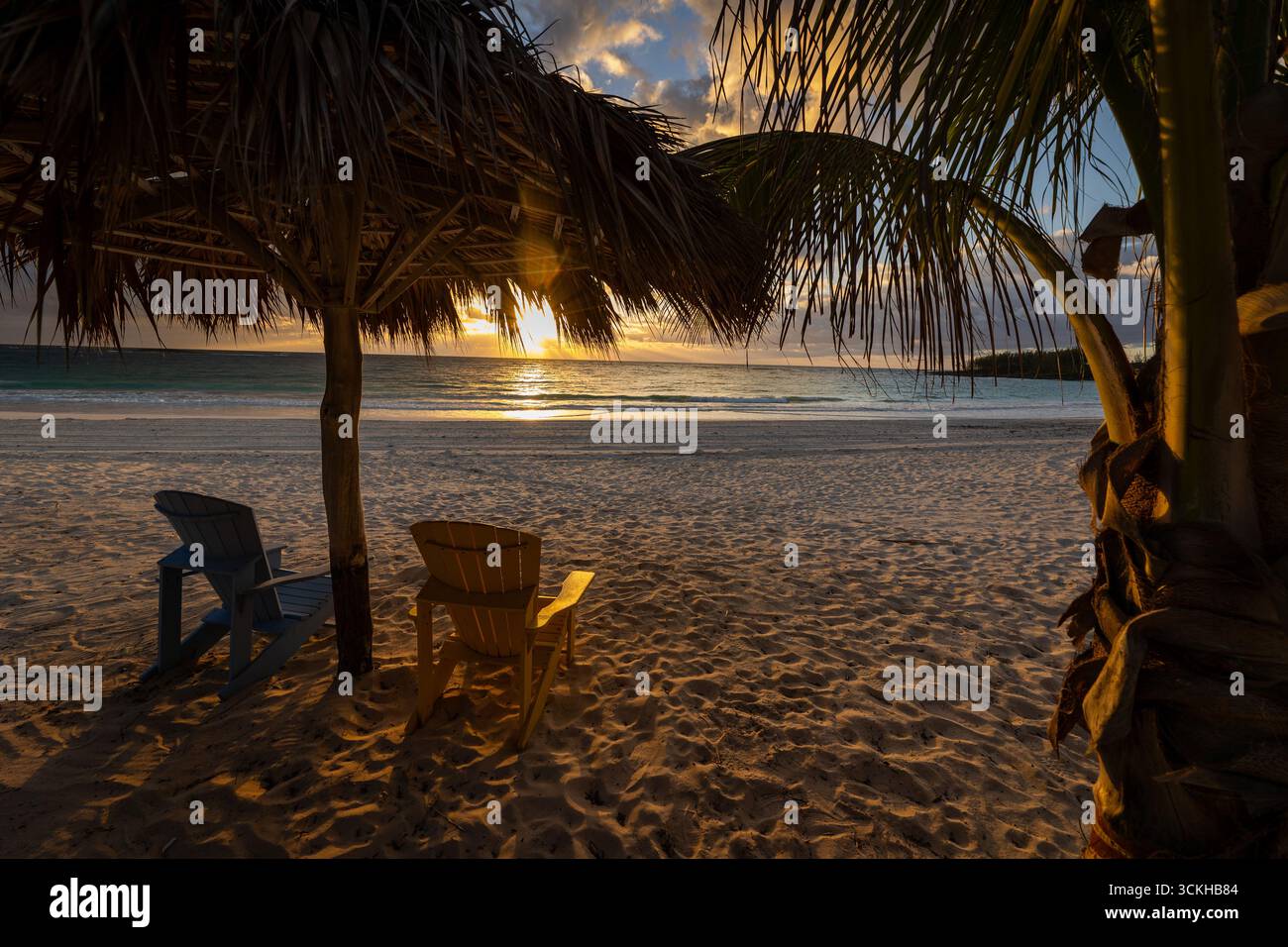 Two beach chairs on a beach under a palm tree in the bahamas Stock ...