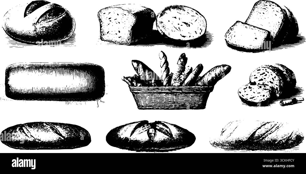Vintage engraved collection of bread elements for design and decoration ...