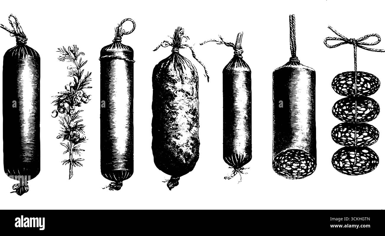 Vintage engraving collection of salami designs for culinary and ...